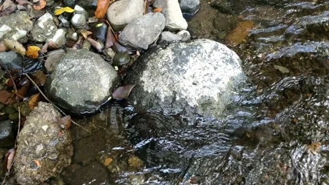 Rock Water Flow Stock Footage ~ Royalty Free Stock Videos | Pond5