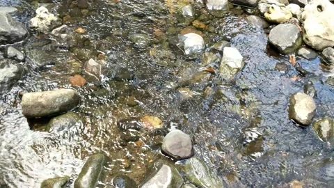 Rock Water Flow Stock Footage ~ Royalty Free Stock Videos | Pond5