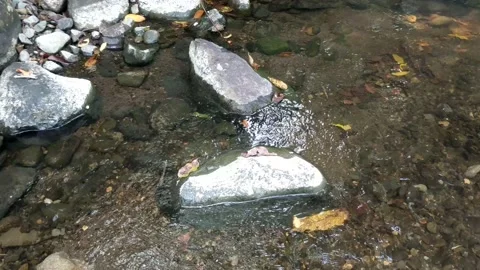 Rock Water Flow Stock Footage ~ Royalty Free Stock Videos | Pond5