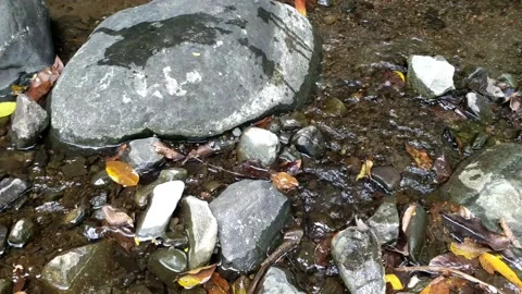 Rock Water Flow Stock Footage ~ Royalty Free Stock Videos | Pond5