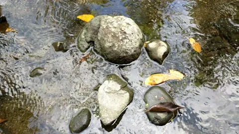 Rock Water Flow Stock Footage ~ Royalty Free Stock Videos | Pond5