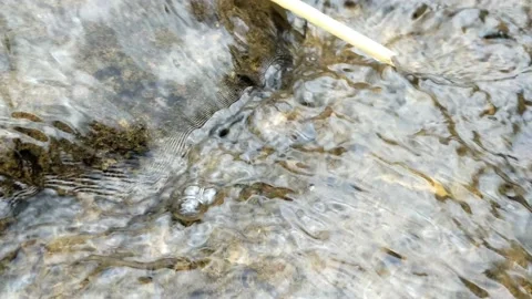 Rock Water Flow Stock Footage ~ Royalty Free Stock Videos | Pond5