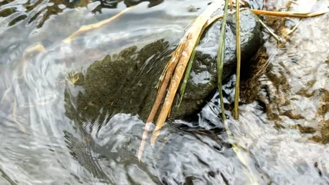 Rock Water Flow Stock Footage ~ Royalty Free Stock Videos | Pond5