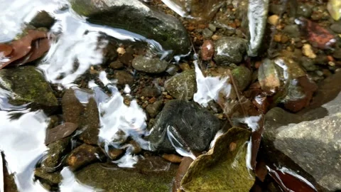 Rock Water Flow Stock Footage ~ Royalty Free Stock Videos | Pond5