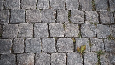 Paving The Way] Stock Videos – Royalty-Free HD & 4K Videos