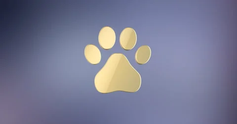 Paw Stock Video Footage | Royalty Free Paw Videos | Pond5