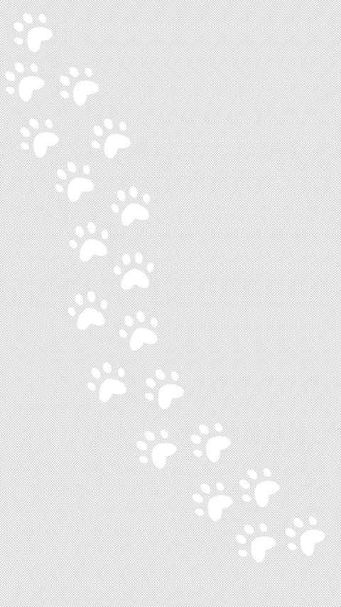 Paw Prints Background Stock Videos – Royalty-Free HD & 4K Videos | Pond5