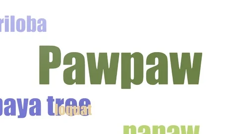 Pawpaw Stock Video Footage | Royalty Free Pawpaw Videos | Pond5