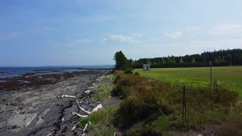 A peaceful coastal scene with rocks, dri... | Stock Video | Pond5
