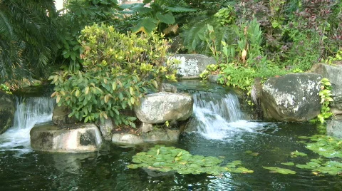 Pond Five Stock Footage ~ Royalty Free Stock Videos | Pond5