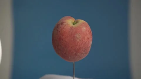Peach Fruit Rotating on Blue Screen, Chr... | Stock Video | Pond5
