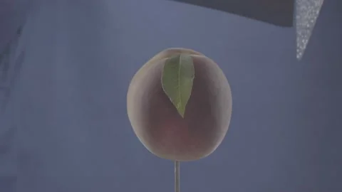 Peach rotating with loop on blue screen ... | Stock Video | Pond5