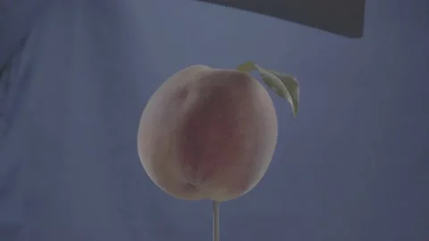 Peach rotating with loop on blue screen ... | Stock Video | Pond5