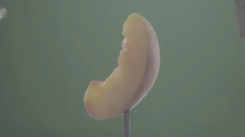 Peach rotating with loop on green screen... | Stock Video | Pond5