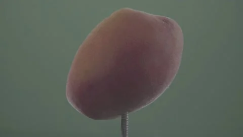 Peach rotating with loop on green screen... | Stock Video | Pond5