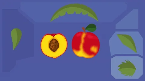peach - Vector Graphics - Food Animatio... | Stock Video | Pond5