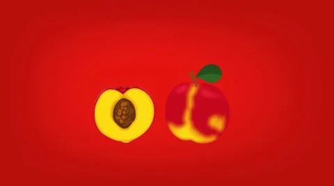 peach - Vector Graphics - Food Animatio... | Stock Video | Pond5