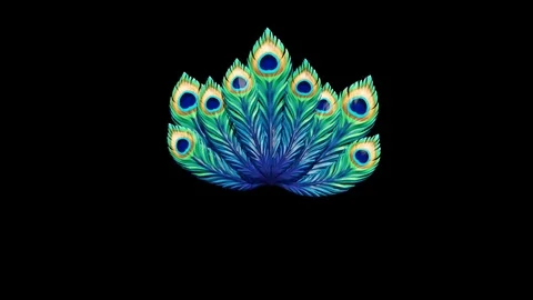 Peacock Animation Stock Video Footage | Royalty Free Peacock Animation ...