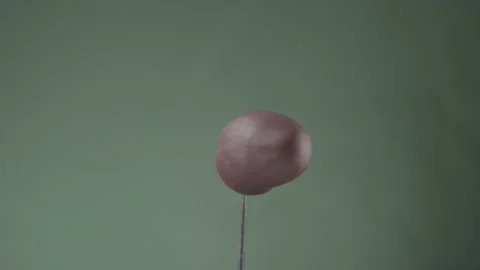 Peanut rotating with loop on green scree... | Stock Video | Pond5