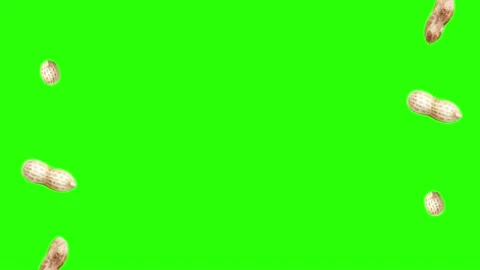 Peanuts animation group on green screen,... | Stock Video | Pond5