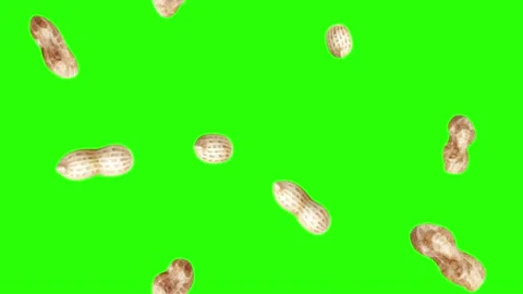 Peanuts animation group on green screen,... | Stock Video | Pond5