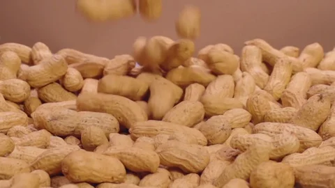 Peanuts Stock Videos – Royalty-Free HD & 4K Videos | Pond5