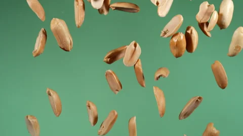 Peanuts falling in slow motion, green sc... | Stock Video | Pond5