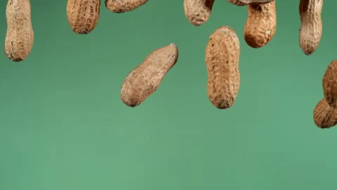 Peanuts in shell falling in slow motion,... | Stock Video | Pond5