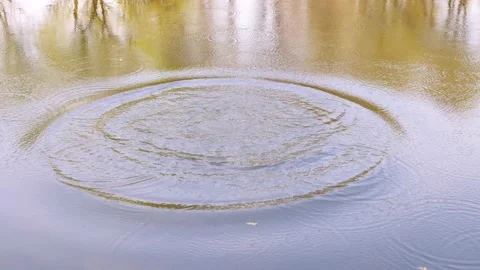 A pebble falls into water, splash and sq... | Stock Video | Pond5