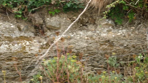 Pebble layer indicating sea level was hi... | Stock Video | Pond5