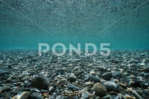 Pebbles rocks underwater below sea surface ~ Premium Photo #119862124