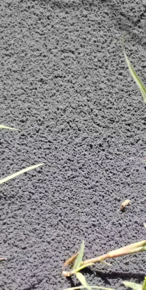 Peculiar Black Pool Wiggles, Hollister, ... | Stock Video | Pond5