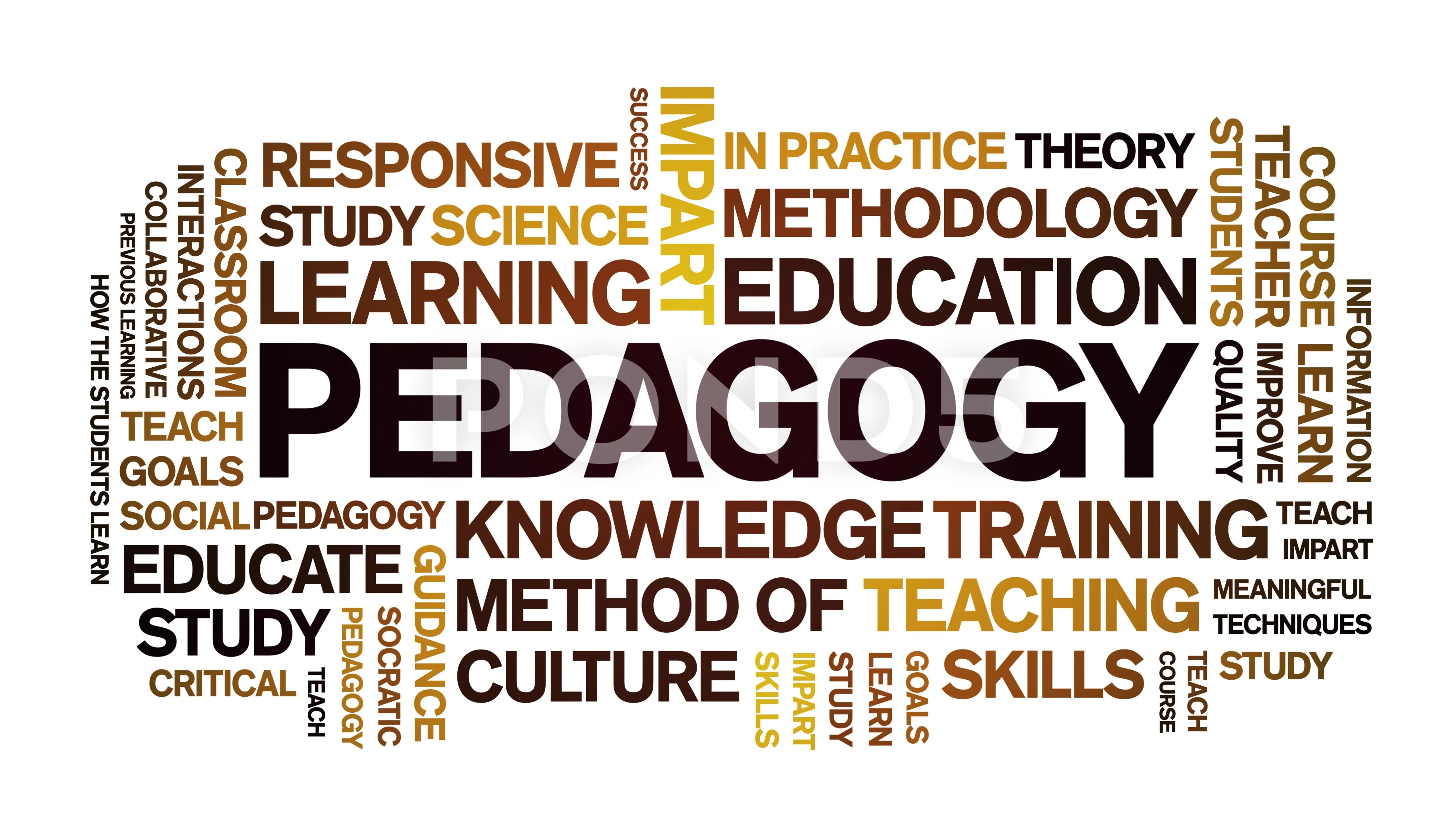 Critical Pedagogy Cartoon Critical Pedagogy Cartoon