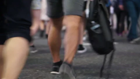 Pedestrain Crossing Stock Videos – Royalty-Free HD & 4K Videos