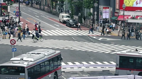 Pedestrian start to cross the street in ... | Stock Video | Pond5