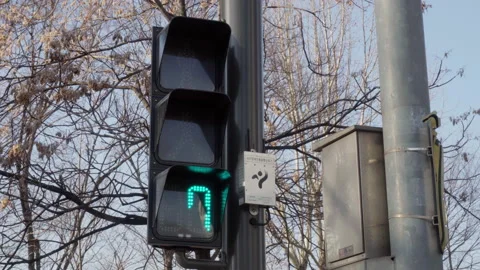 pedestrian traffic light counting down f... | Stock Video | Pond5