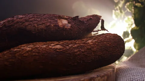 Peeled cassava and cassava in shell on a... | Stock Video | Pond5