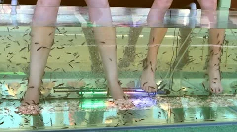 Peeling skin feet of tropical fish in th... | Stock Video | Pond5