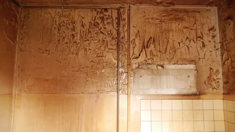 Peeling Wallpaper in Scruffy Room | Stock Video | Pond5