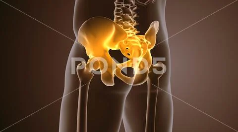 Pelvic pain medical animation background: Royalty Free #201369410