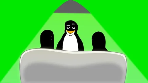 Penguins Green Screen Stock Videos – Royalty-Free HD & 4K Videos