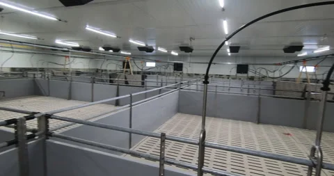 Pens for breeding piglets on a pig farm.... | Stock Video | Pond5