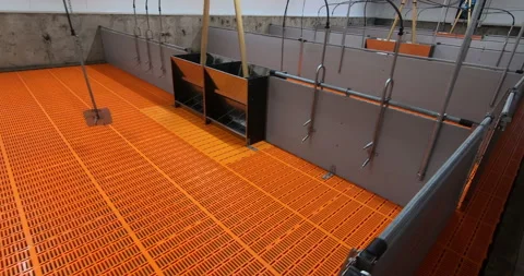 Pens for breeding piglets on a pig farm.... | Stock Video | Pond5