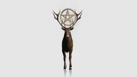 Pentagram Deer walking on front isolated... | Stock Video | Pond5