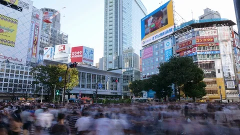 Chalf Intersection Stock Videos – Royalty-Free HD & 4K Videos