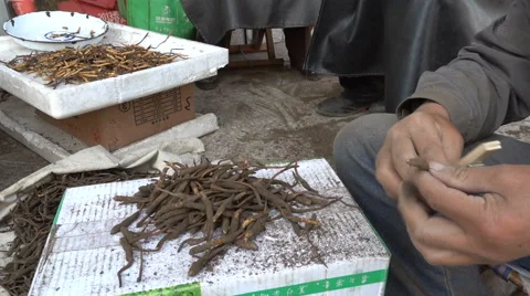 Popular Medicine Stock Videos – Royalty-Free HD & 4K Videos