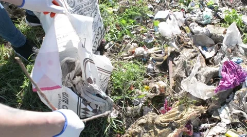 People collect garbage, pollution, waste... | Stock Video | Pond5