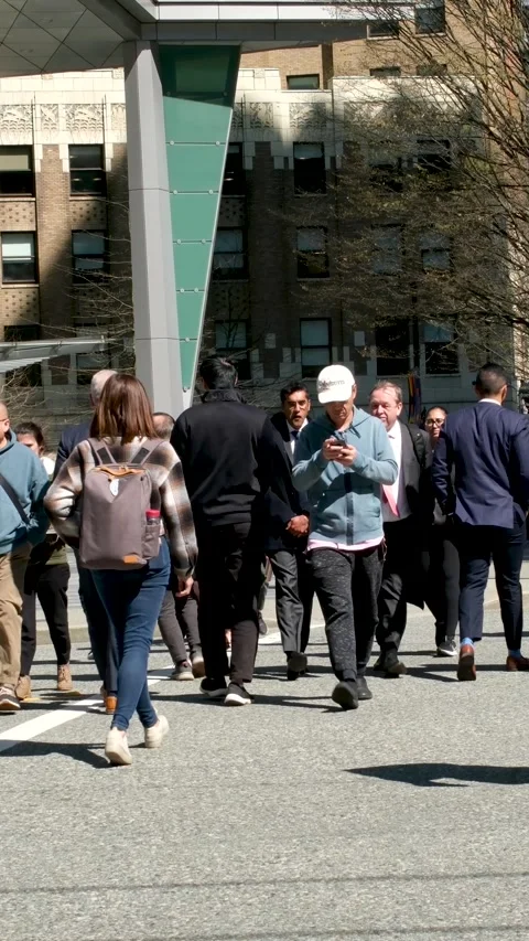 people crossing the road at a traffic li... | Stock Video | Pond5