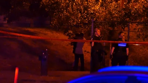 Crime Scene Crying Stock Video Footage | Royalty Free Crime Scene ...