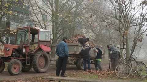 Trailer Names Stock Videos – Royalty-Free HD & 4K Videos | Pond5